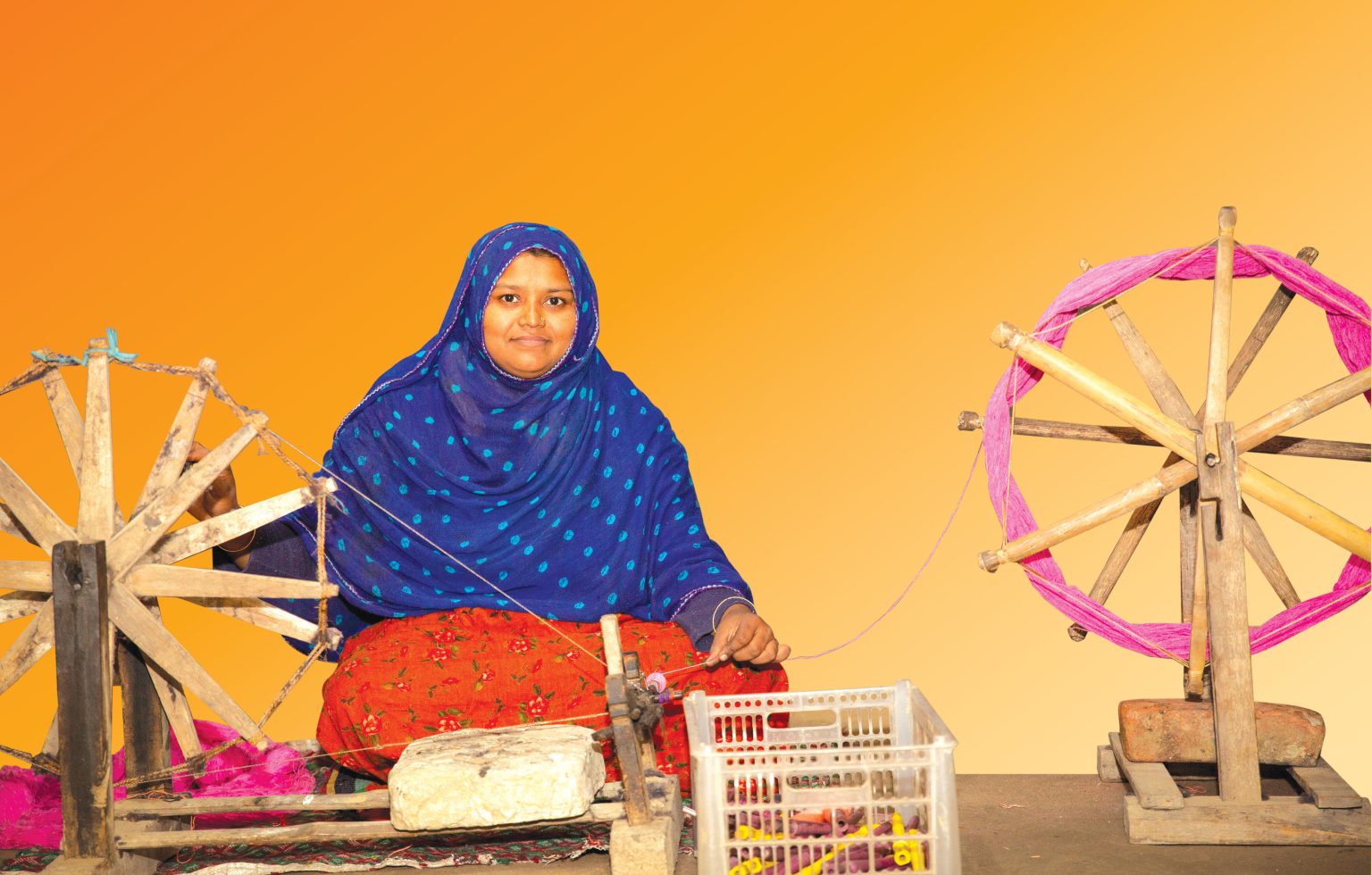 Programs - Palli Karma-Sahayak Foundation (PKSF)